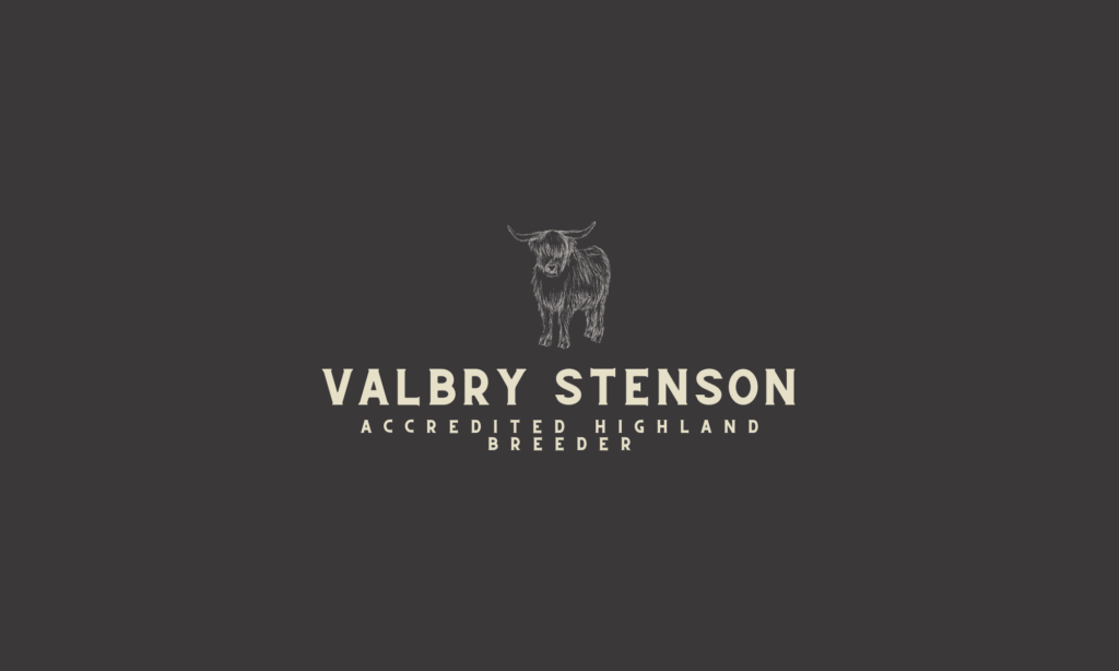 Valbry Stenson – Accredited breeders Highland Cows